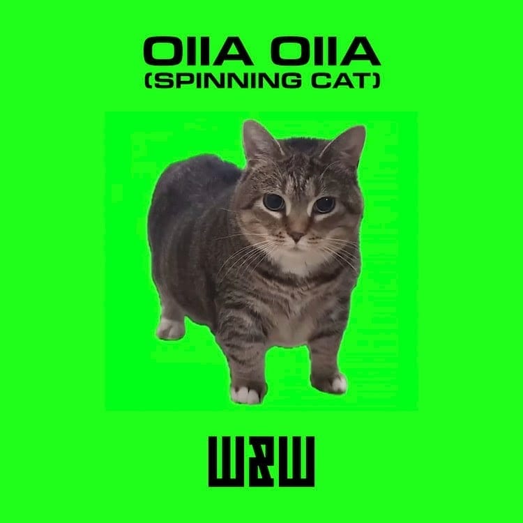 W&W Unleashes Viral Hit "OIIA OIIA (Spinning Cat)" with an Epic New ...